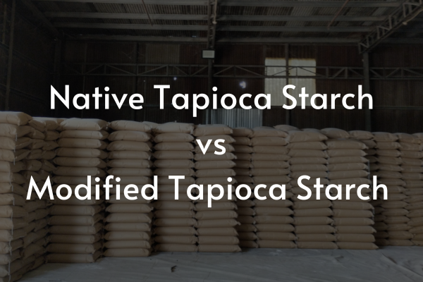 Native Tapioca Starch vs Modified Tapioca Starch - B Sky