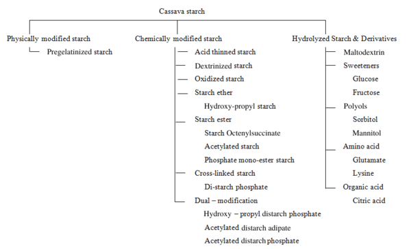 A Comprehensive Manual To Vietnam Modified Tapioca Starch