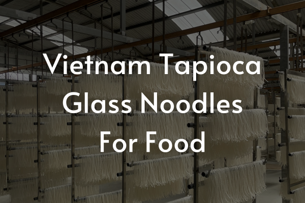 Vietnam Tapioca Glass Noodles For Food - Viego Global